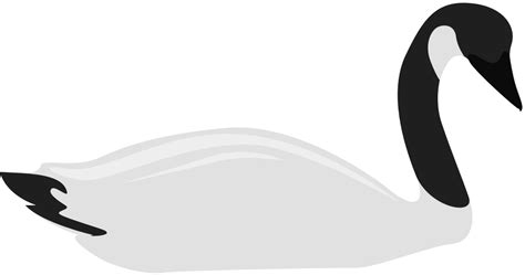 Goose 36655586 Vector Art At Vecteezy