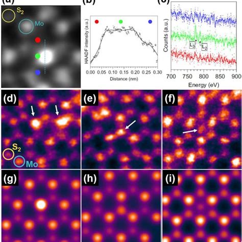 Atomic Scale Stem Analysis Of Graphene Based Catalysts For Orr A