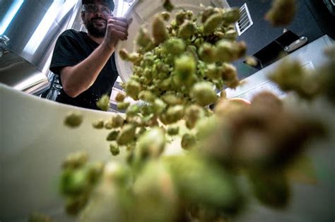 [성인간호학] Tpn 주입속도와 덤핑신드롬에 대한 질문 Tpn Infusion Rate Potassium Deficiency Polyuria Hypokalemia