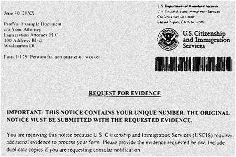 H1b Rfe Responses Strategy Cpt Relative