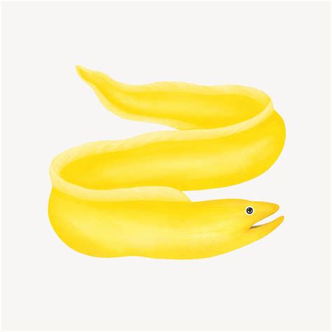 Yellow Eel Cute Hand Drawn Free Photo Illustration Rawpixel