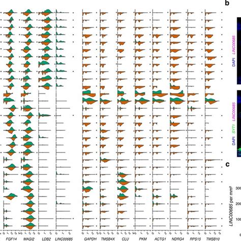 Neuroglial Subtypes Show Shared Dysregulated Transcriptomic Patterns In Download Scientific