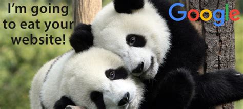 Opencart Canonicals Fix Opencart Duplicate Content For Free