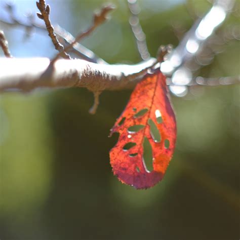By Hikoukigumo Id Photohito