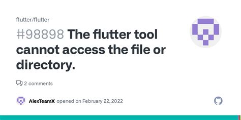The Flutter Tool Cannot Access The File Or Directory · Issue 98898 · Flutterflutter · Github
