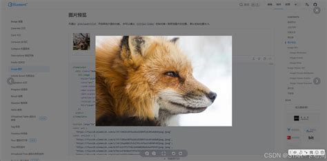 点击展示大图预览viewer插件el Img；三种应用场景 Csdn博客