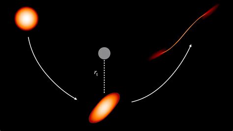 Tidal Disruption Events Gravitationalwaves Syracuse University