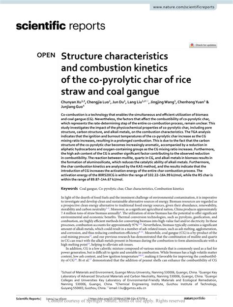 Pdf Structure Characteristics And Combustion Kinetics Of The Co Pyrolytic Char Of Rice Straw