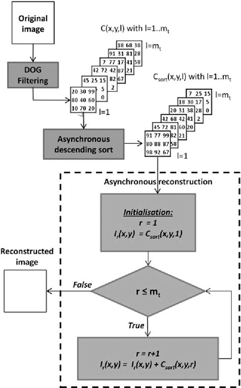 Figure 2 From Bio Inspired Image Enhancement Derived From A Rank Order