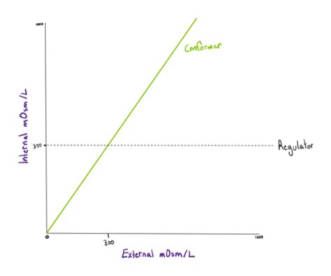 Graphs And Diagrams For Osmoregulation And Cellular Processes In Computer Science Flashcards