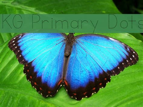 Kg Primary Dots Font