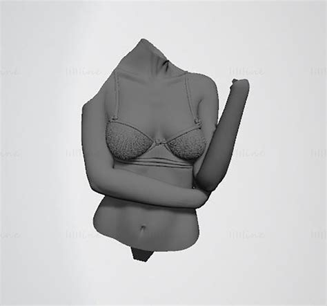 Wonder Woman 1984 3d Printing Model Stl