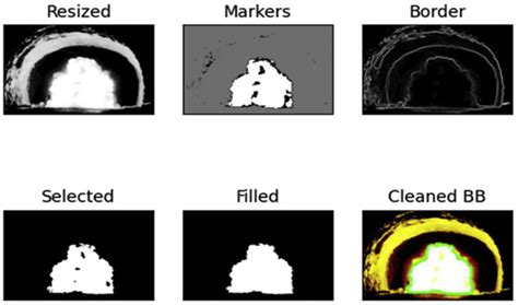 E Post Processing Method To Derive The Fireball Surface Download