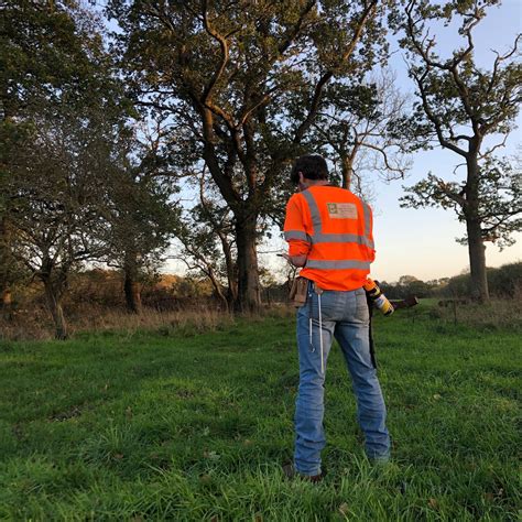 TREE SURVEYS SAFETY REPORTS FROM THE TREE MANAGEMENT COMPANY