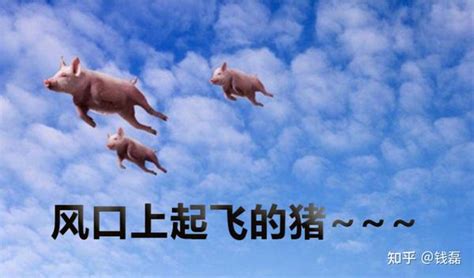 词源趣谈：抓住opportunity（机会），船能归航，猪能上天 知乎