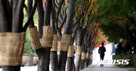 겨울이 오는 길목에서