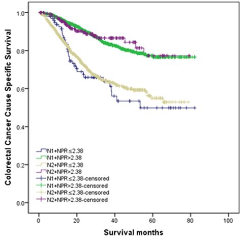 Combined Analysis Of N Stage And N Npr Stage Patients In N2 Npr