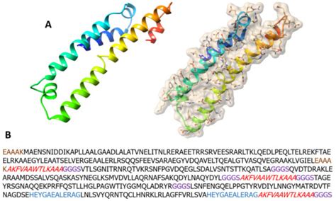 Pan Genome Reverse Vaccinology Approach For The Design Of Multi Epitope Vaccine Construct