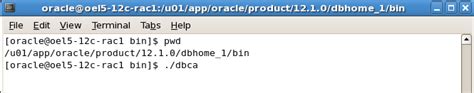 Trace Of Thinking Path Oracle 12c Rac Install 3 Of 3 Create 12c