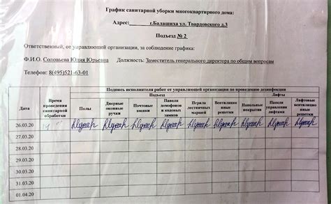 Образец графика уборки в подъезде 93 фото