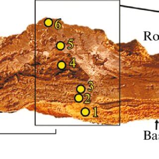 Location Of The Sampling Site Of The Fe Mn Crust As Well As Troll Download Scientific Diagram