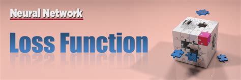 Loss Function Data World