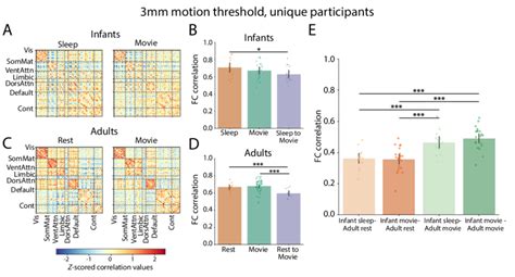 Figure S2 Functional Connectivity In Infants And Adults In Different Download Scientific