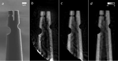A Sem Image Of The Sample Figures B And C Show Reconstructions