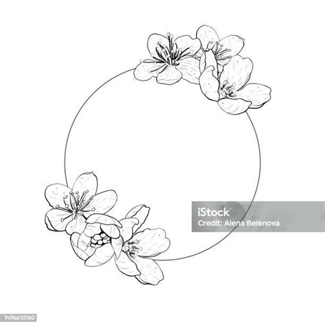 벚꽃 벚꽃 사과 자두 야생 벚꽃 매화 새 벚꽃 배의 꽃이 있는 벡터 그림 반지 프레임 구성 꽃잎의 검은 윤곽 그래픽 그림 엽서 디자인 및 구성 장식 지문 포스터 스티커