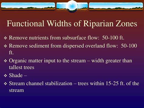 Ppt Ecological Functions Of Headwaters Streams And Riparian Zones