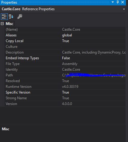 C Could Not Load File Or Assembly Dll Reference Asp Net Core Application Stack Overflow