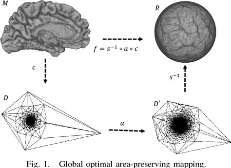 Figure 1 From Isometry Invariant Shape Descriptors For Abnormality Detection On Brain Surfaces