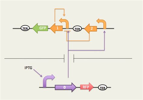 Teamparis Bettencourttranscient Amplifier