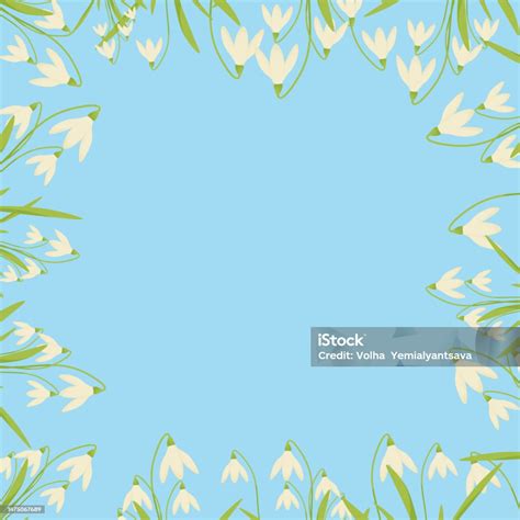 봄 꽃이있는 빈 프레임 파란색 배경에 벡터 스노우드롭 텍스트를위한 장소 0명에 대한 스톡 벡터 아트 및 기타 이미지 0명 3월 갈란투스 Istock