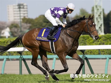 【日本ダービー】サンライズジパングは手応え抜群で1馬身先着 音無師「いい状態を維持したい」｜競馬ニュース｜競馬予想のウマニティ
