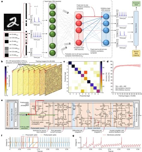 A Thin Leap Forward Worlds First Functional D Microchip H Ard Forum