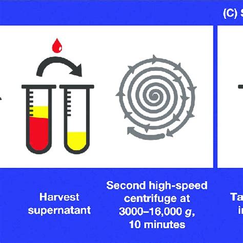 Obtaining Plasma Samples For Ctdna Analysis Recommended Workflow For