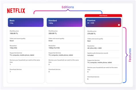 Multi Tenancy Architecture With Net Building Saas Applications Abpio