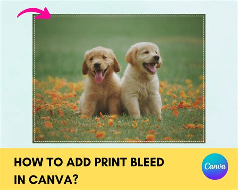 How To Add Bleed In Canva GraphiCarola