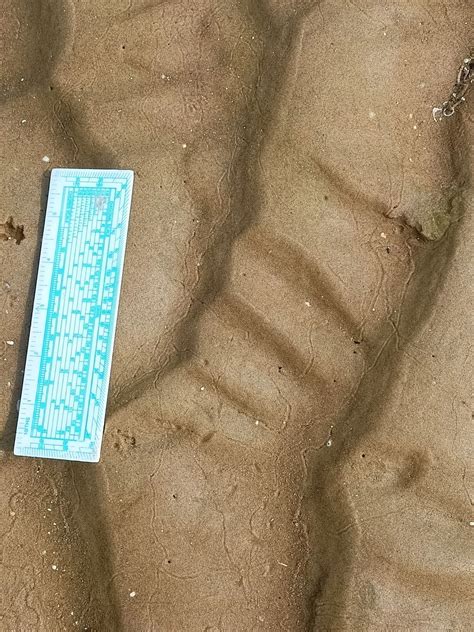 Sudhansu Sekhar Behera On Linkedin Ladderback Ripple • Occur In The