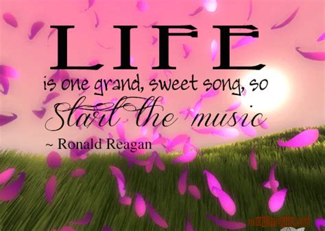 Life Is So Sweet