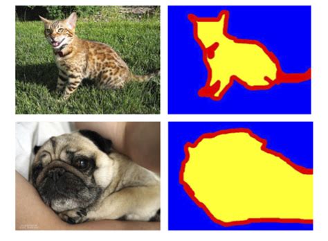 使用 PyTorch 进行高效图像分割第 部分 pytorch经典图像分割模型 CSDN博客
