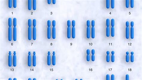 Chromosomal Abnormality Diagnosis And Care