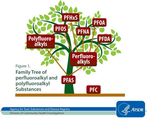 Pfas What They Are And How To Avoid Them Bambu Pfas What They Are And How To Avoid Them Bambu