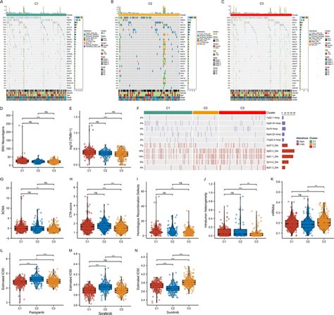 Genomic Alterations Stemness And Drug Sensitivity Features Across