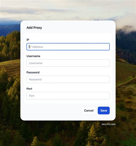 How To Use Proxies Seo Utils