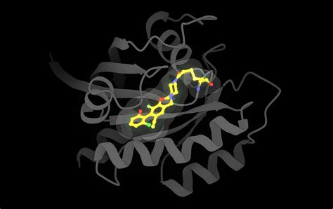 Boltz 2 Model By Mit Nvidia Nim