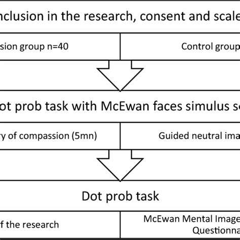Example Of A Congruent Trial With The Probe Task Download Scientific
