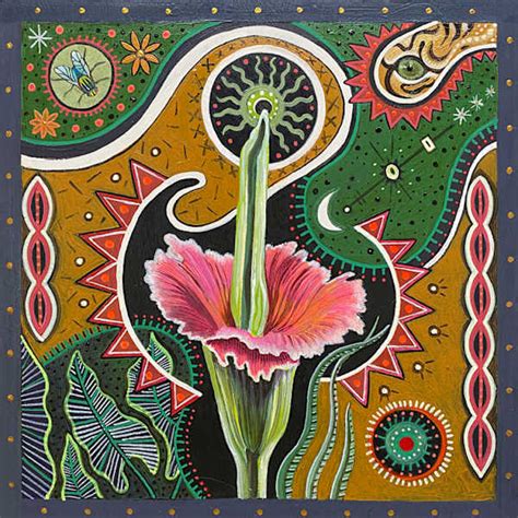 Corpse Flower By Sarah Stone Artwork Archive
