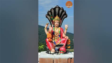 31 मई सभी पापों से मुक्ति दिलाने वाले सबसे कठिन एकादशी है निर्जला
